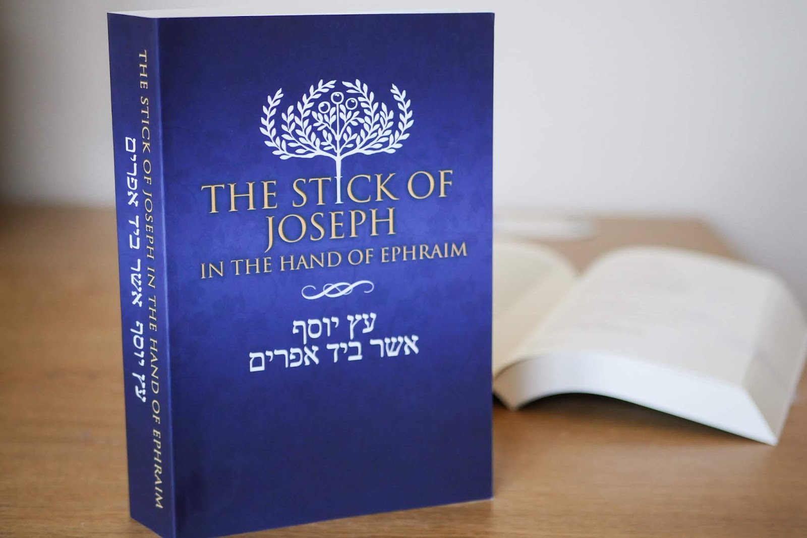 Judaism - Face Toward Zion