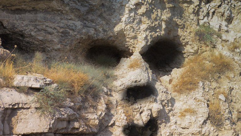 Sacrifice at Golgotha - Face Toward Zion